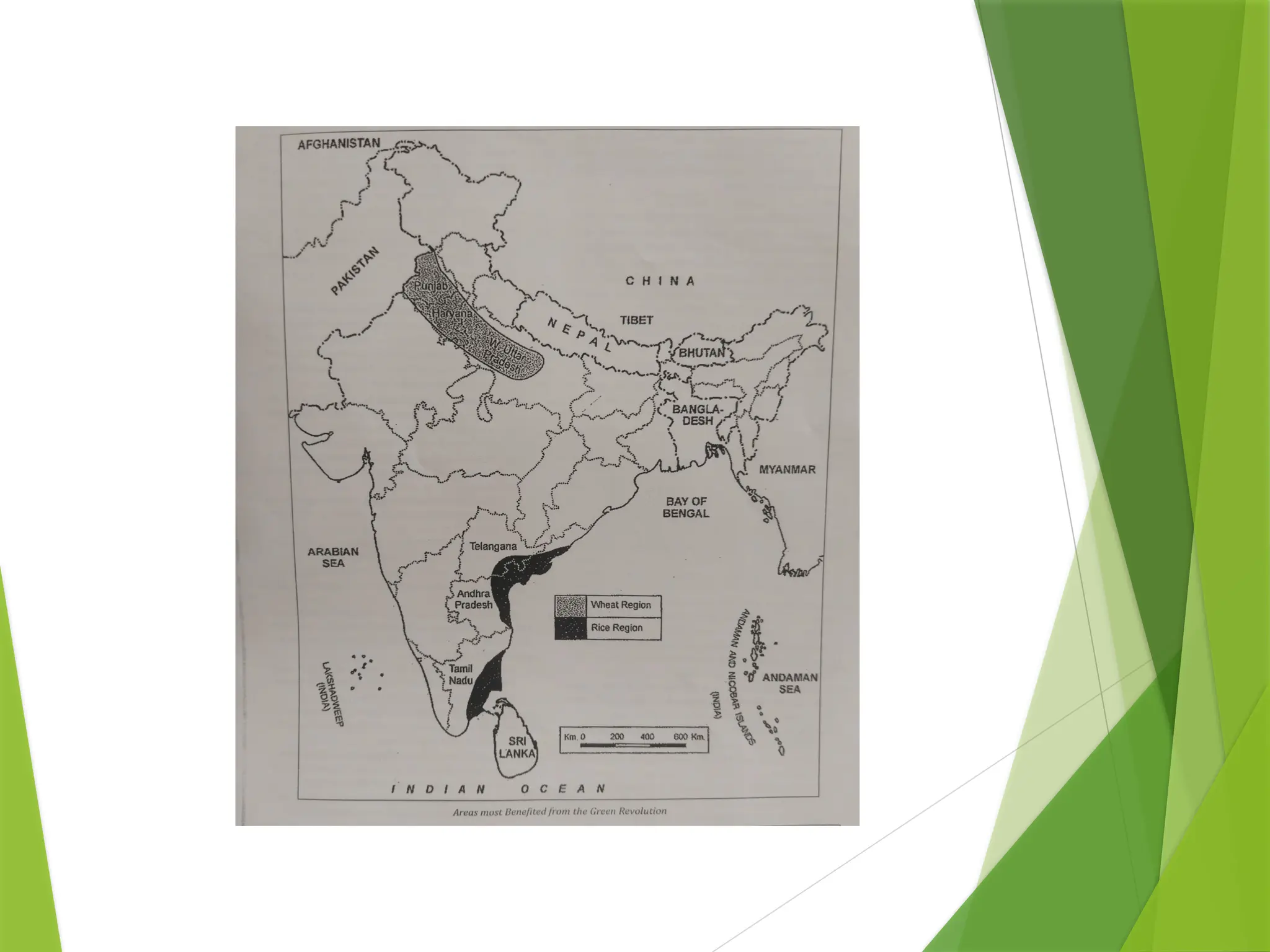 Green revolution transforming india into a new perspective | PPT