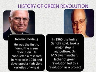 Green revolution and its measurment | PPT