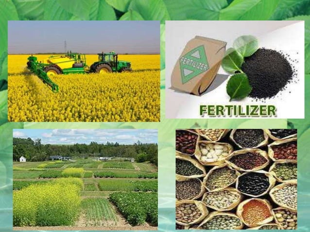 Green Revolution in India.pptx | Agriculture | Industries