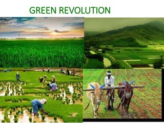 Green revolution ppt | PPTX