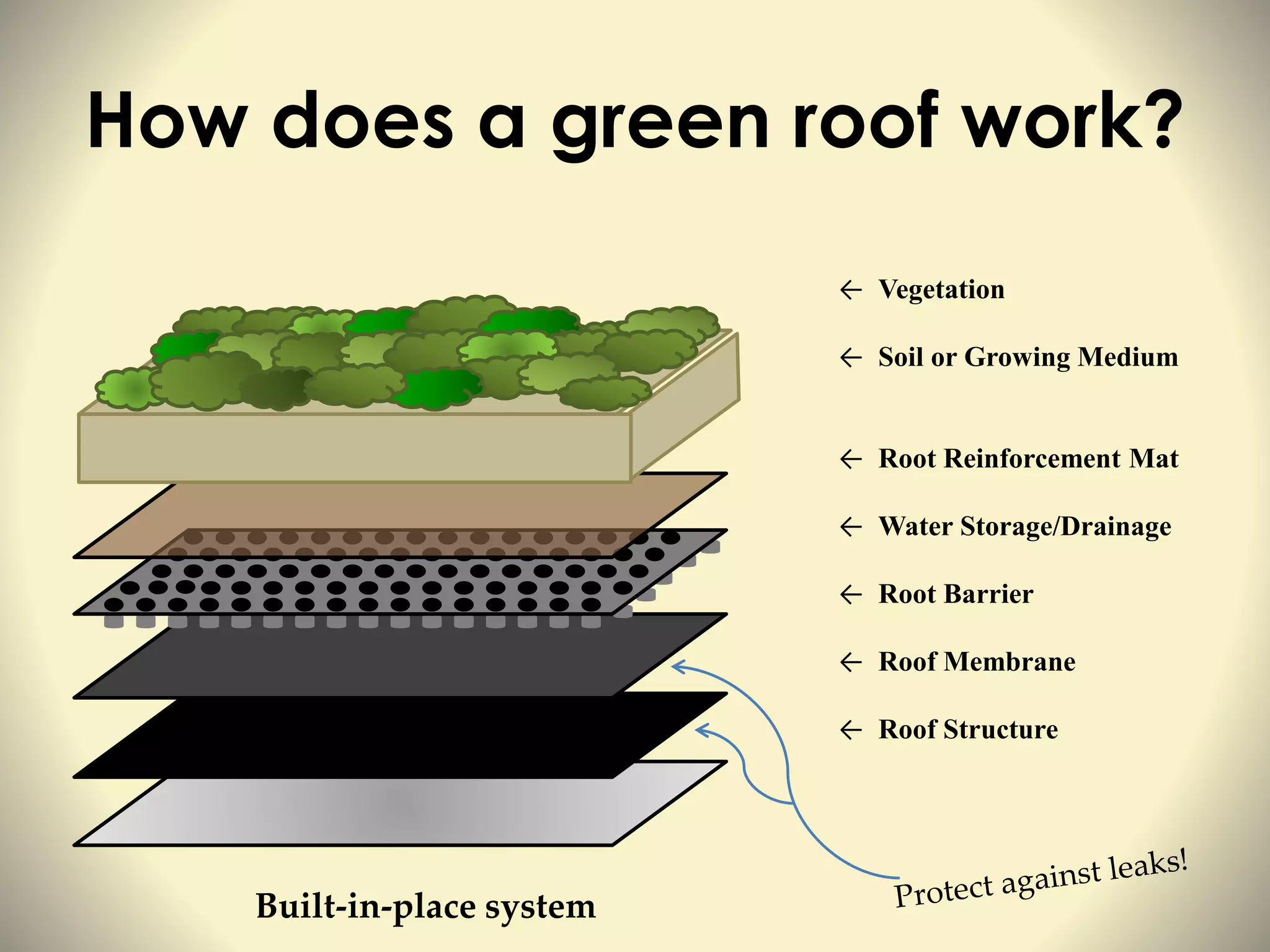 Intro To Green Roofs For Educators Pptx