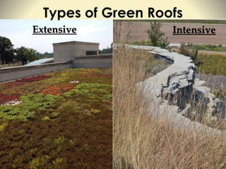 Intro to Green Roofs for Educators | PPTX