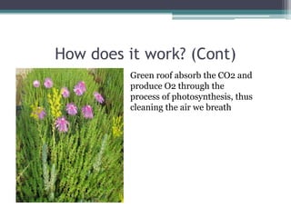 Green roofs sungoo | PPT