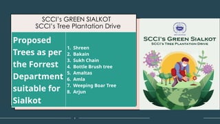 Green Sialkot Tree Plantation Drive.pptx