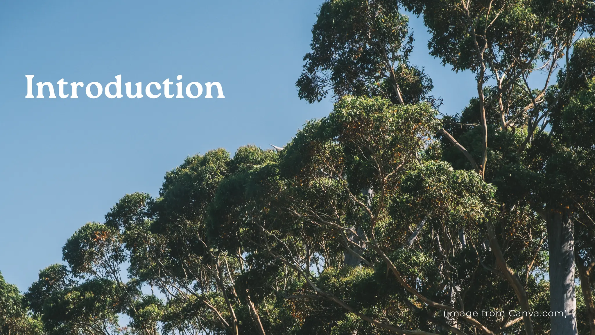 overview of the causes and effects of drinking water scarcity in the ...