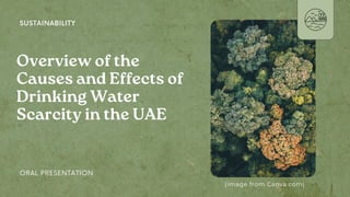 overview of the causes and effects of drinking water scarcity in the ...