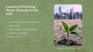overview of the causes and effects of drinking water scarcity in the ...