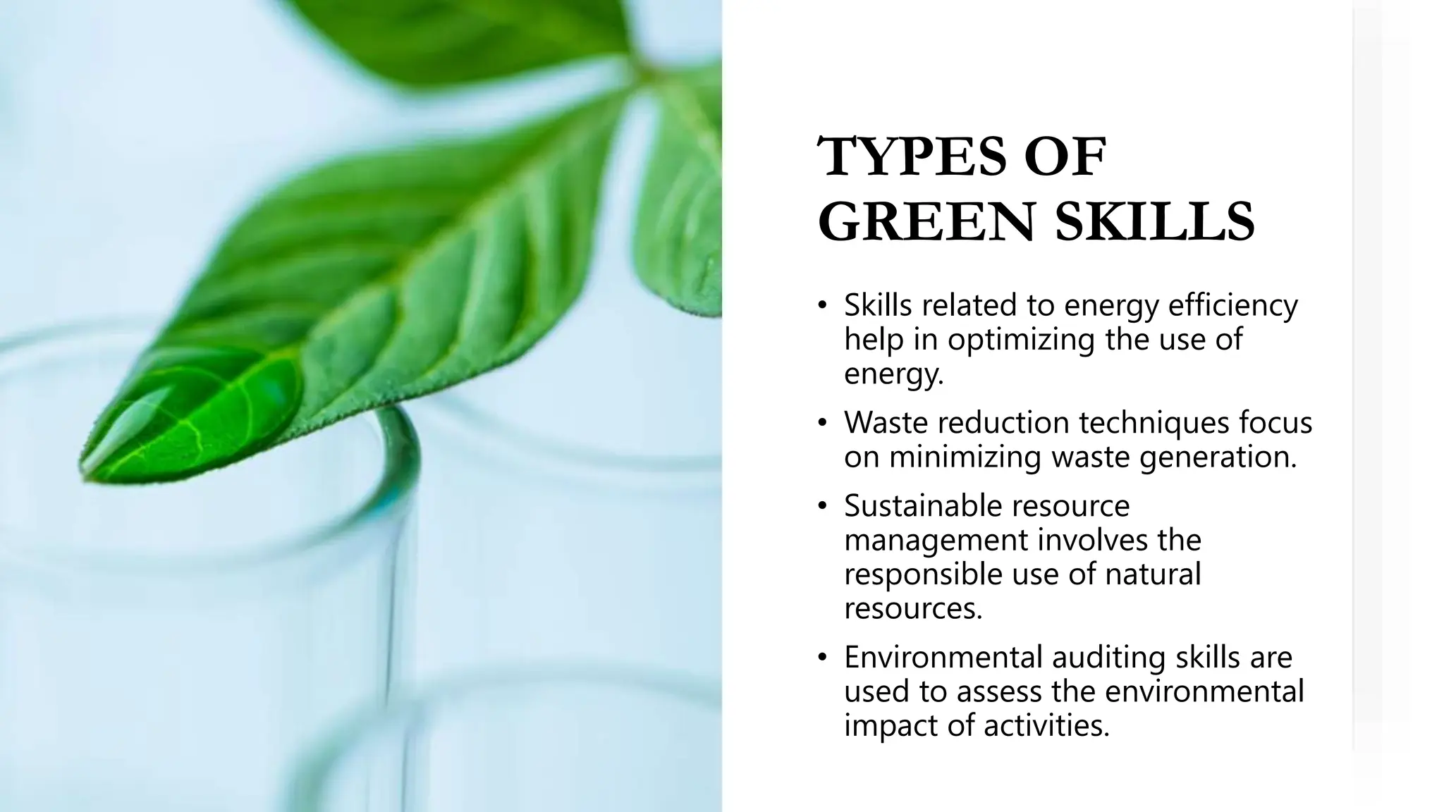Ppt for school project on the topic "Green Skills" | PPTX