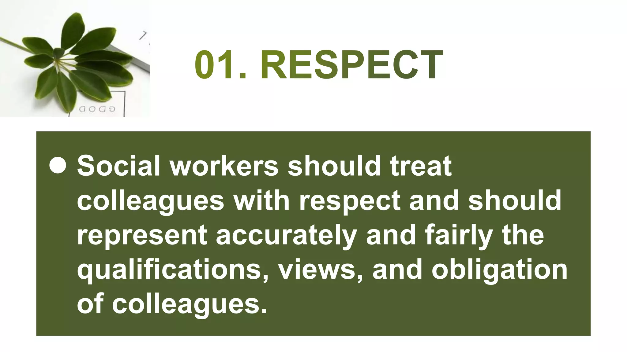 Social Work's Ethical Responsibilities to Colleagues | PPTX