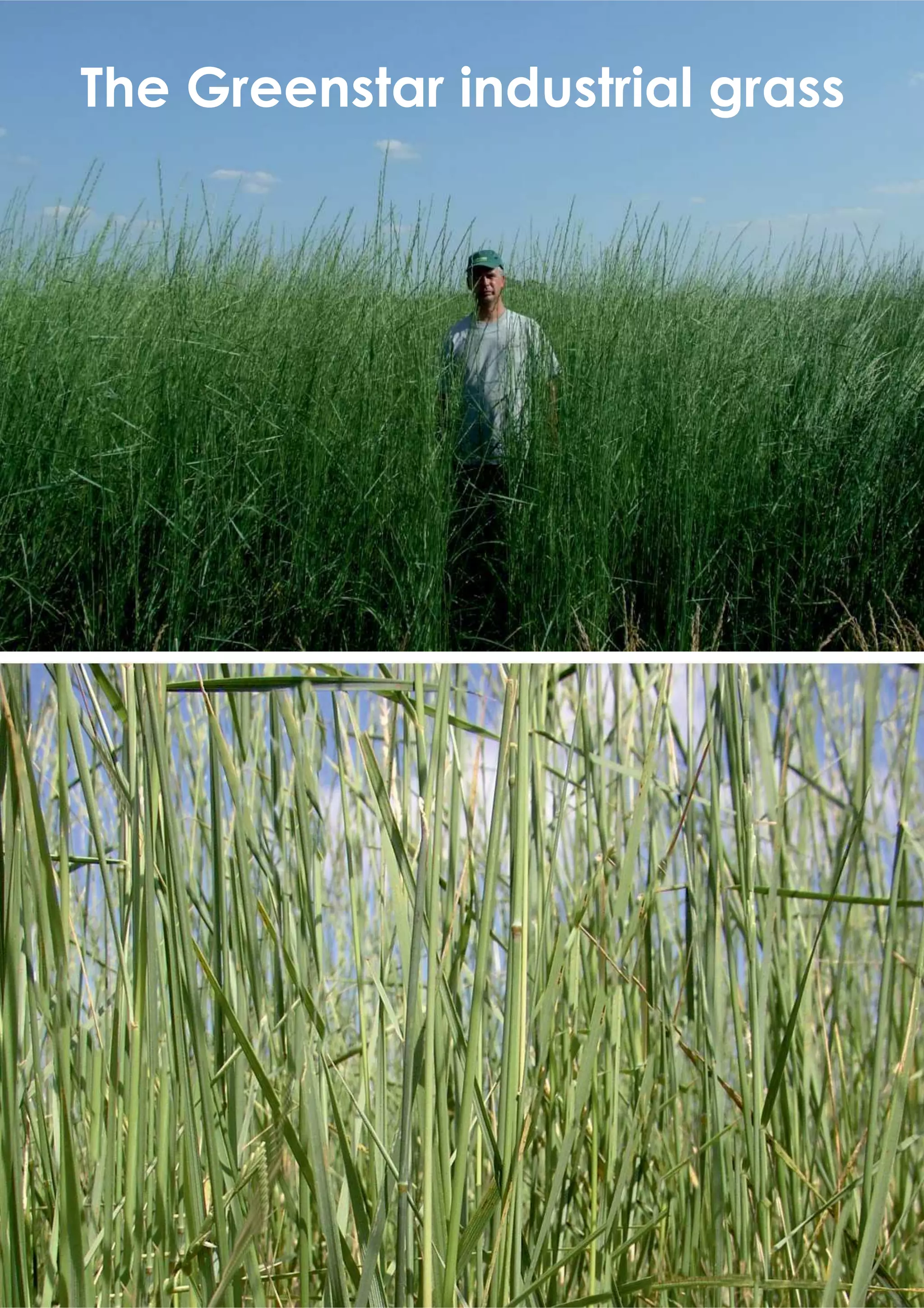 Greenstar industrial grass.pdf