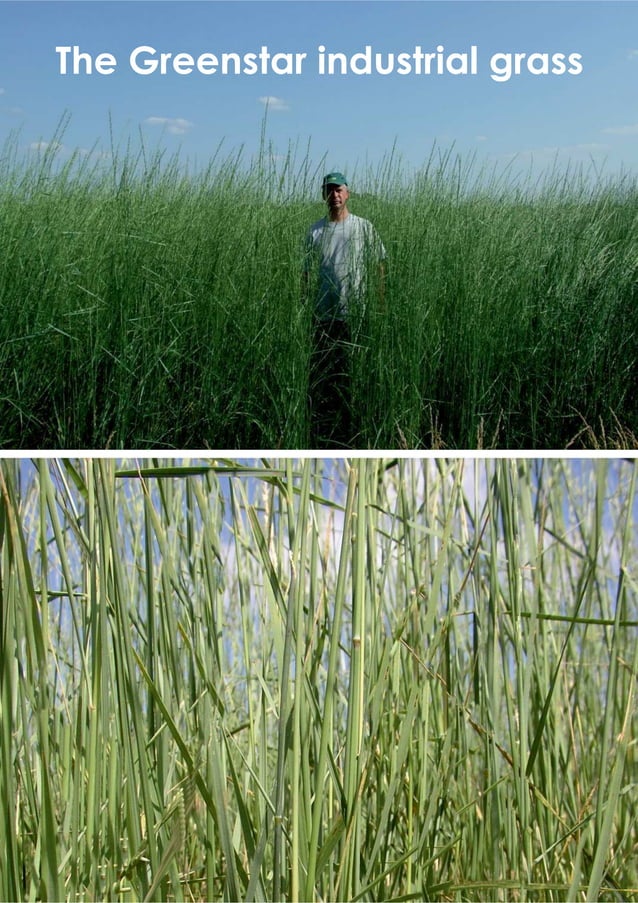Greenstar industrial grass.pdf
