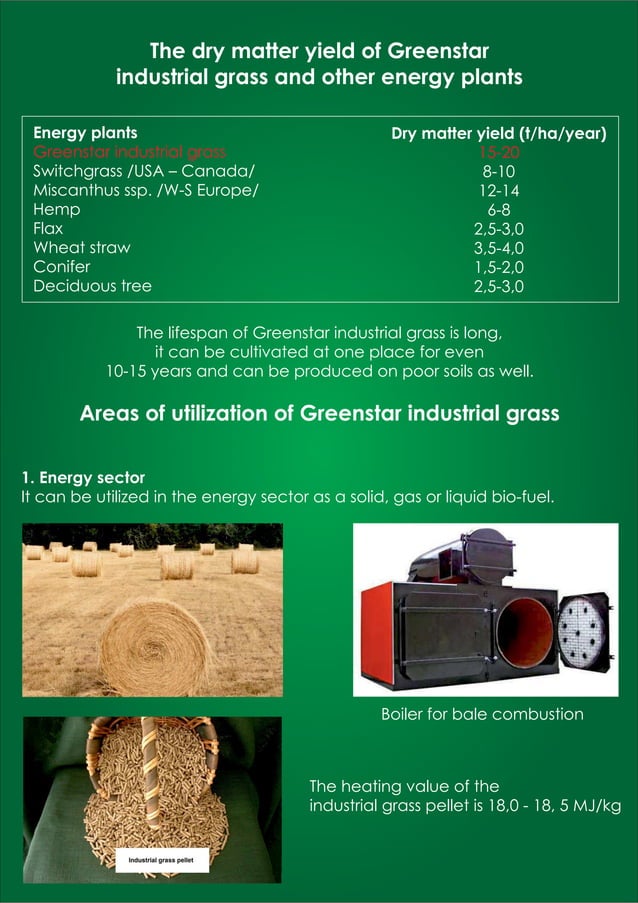 Greenstar industrial grass.pdf