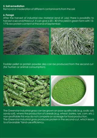 Greenstar industrial grass.pdf