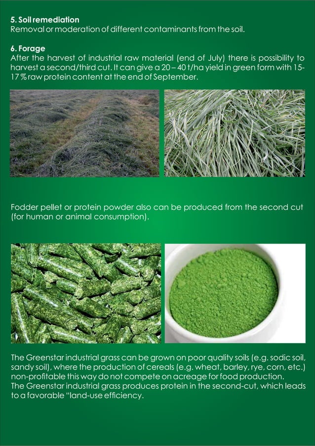 Greenstar industrial grass.pdf