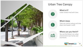 Green Stormwater Infrastructure | PPTX