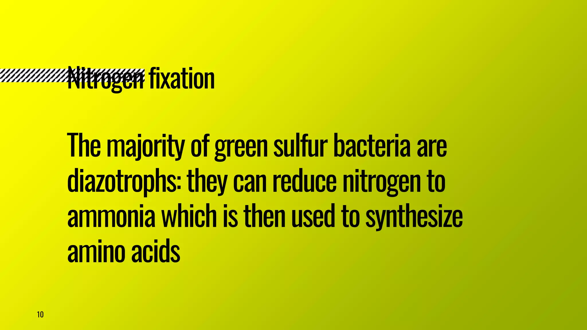green sulfur bacteria .pptx