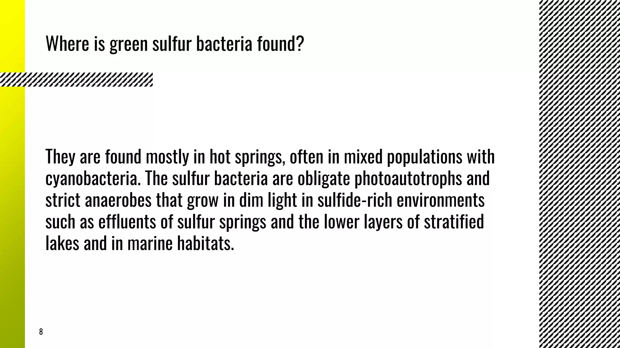 green sulfur bacteria .pptx