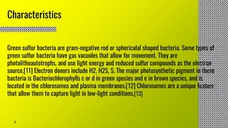 GREEN SULPHUR BACTERIA.pptx