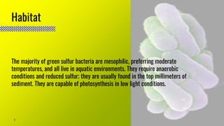GREEN SULPHUR BACTERIA.pptx