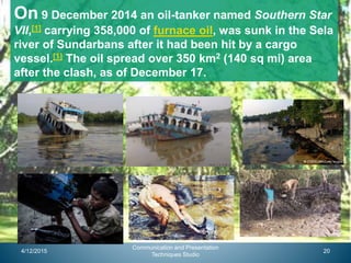 Beautiful sundarban | PPTX