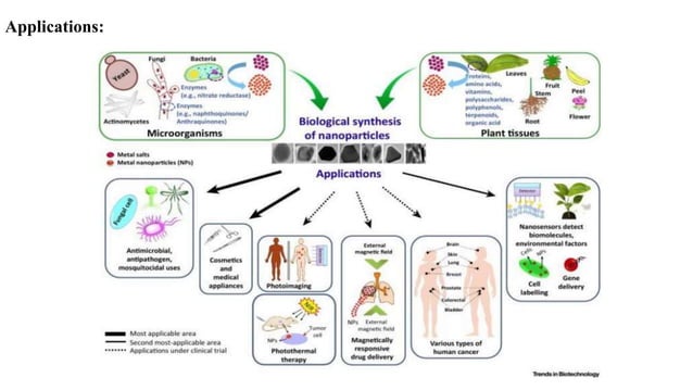 green synthesis.pptx