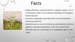 Green Synthesis.pptx