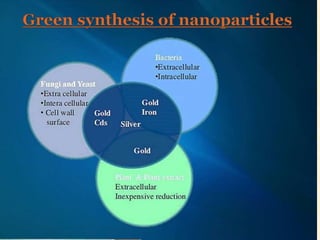 Green synthesis of nanoparticles | PPTX