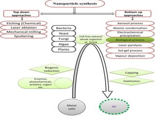 Green synthesis of nanoparticles | PPTX
