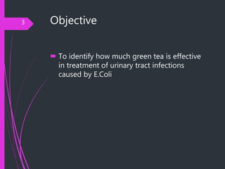Green tea as an effective antimicrobial for urinary | PPTX