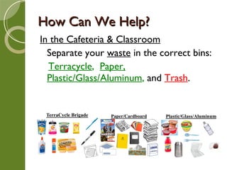 Green team education | PPT