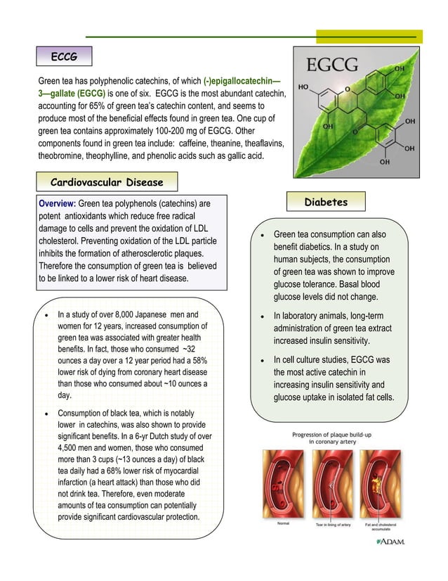 Health benefits of green tea | PDF | Herbs and Supplements ...