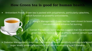 Green tea Presentation pptx.pdf