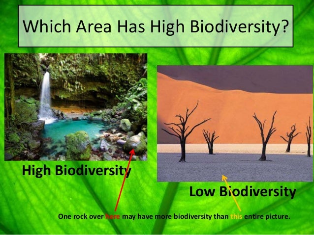 Green the World Lesson 2