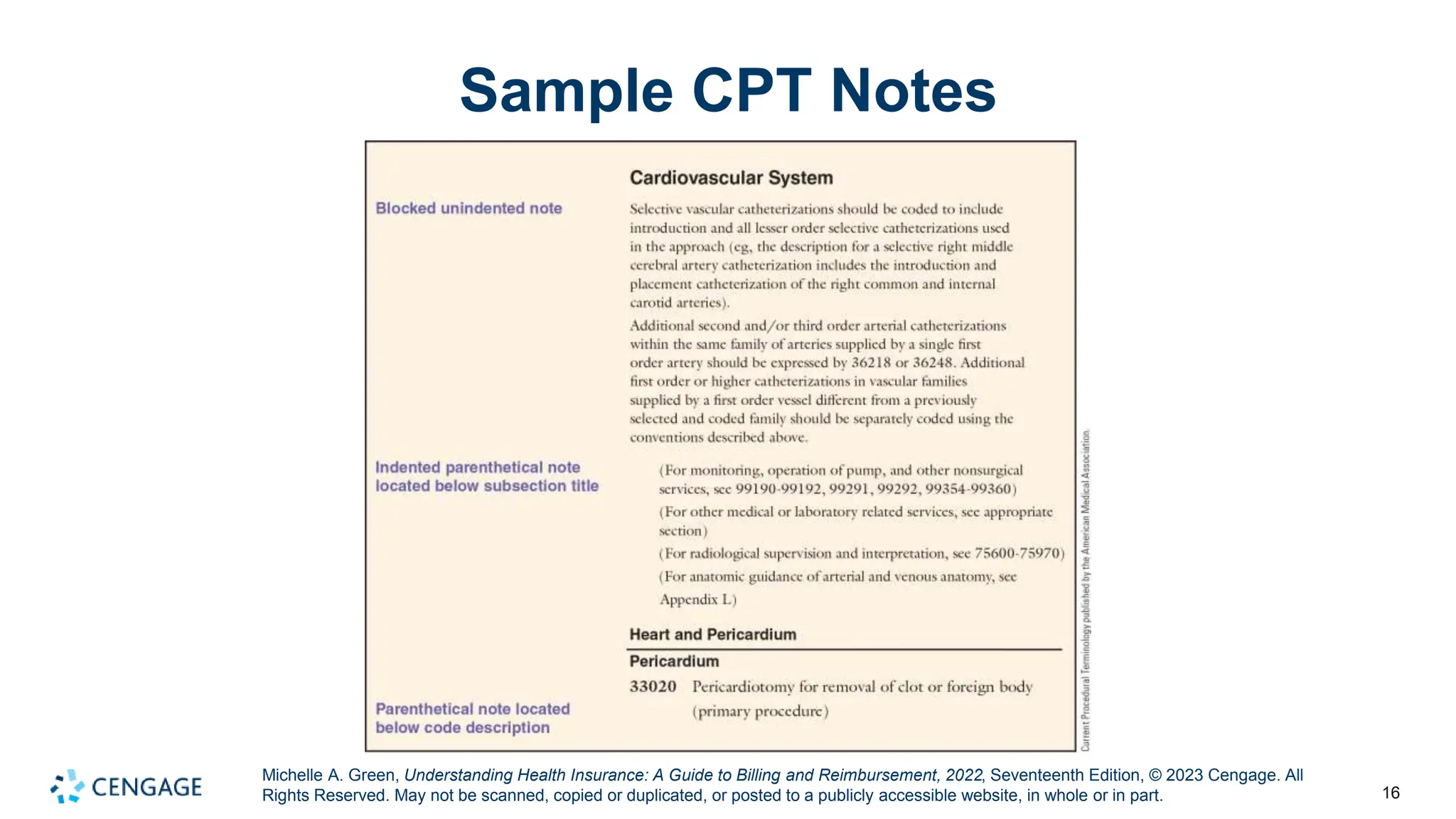 Understanding Health Insurance (CPT coding) chapter 7 | PPTX