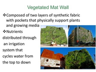 Green wall | PPTX