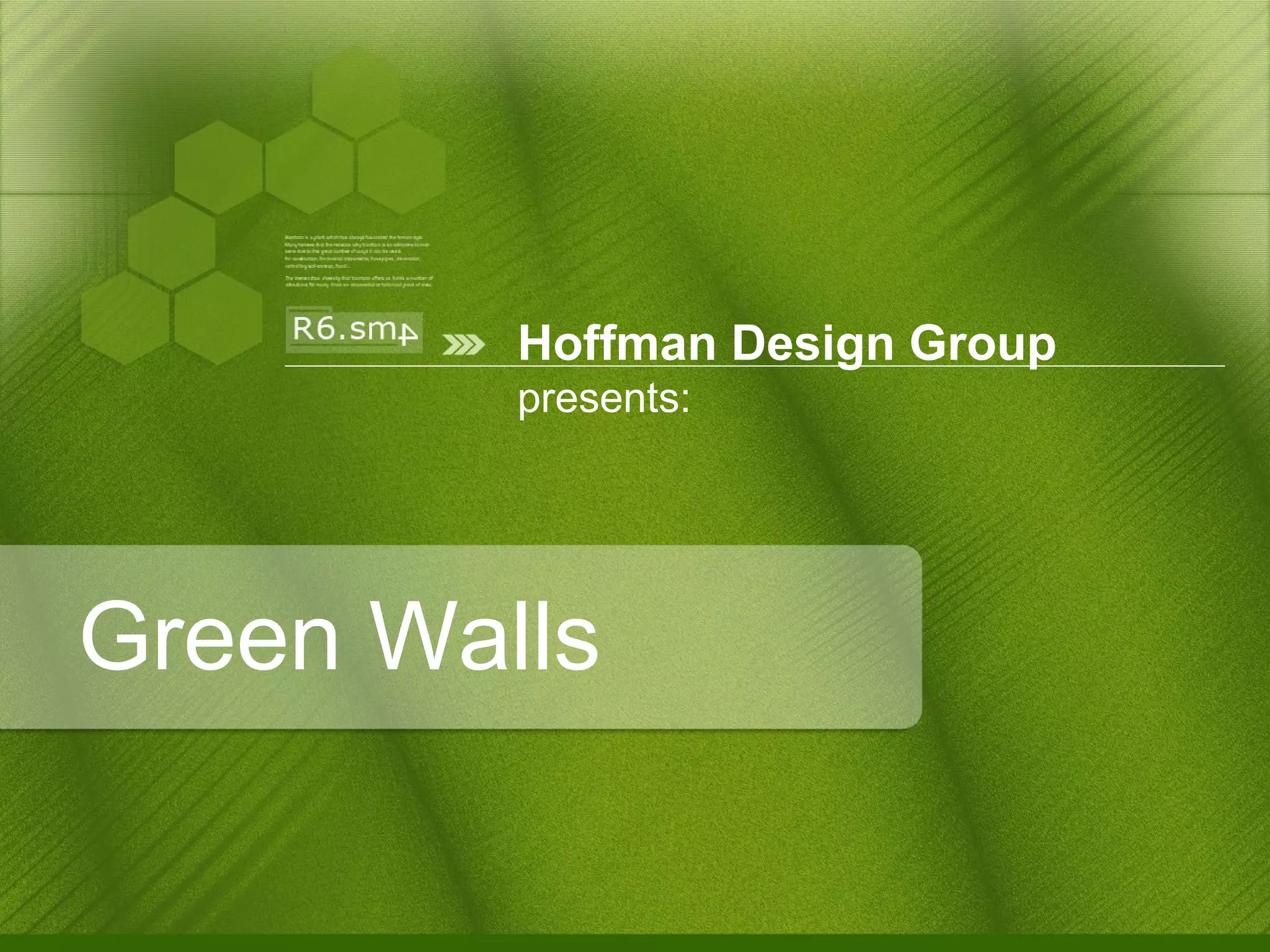 Green Wall Designs and Examples. Interior and Exterior Landscaping ...