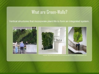 Green Wall Designs and Examples. Interior and Exterior Landscaping ...