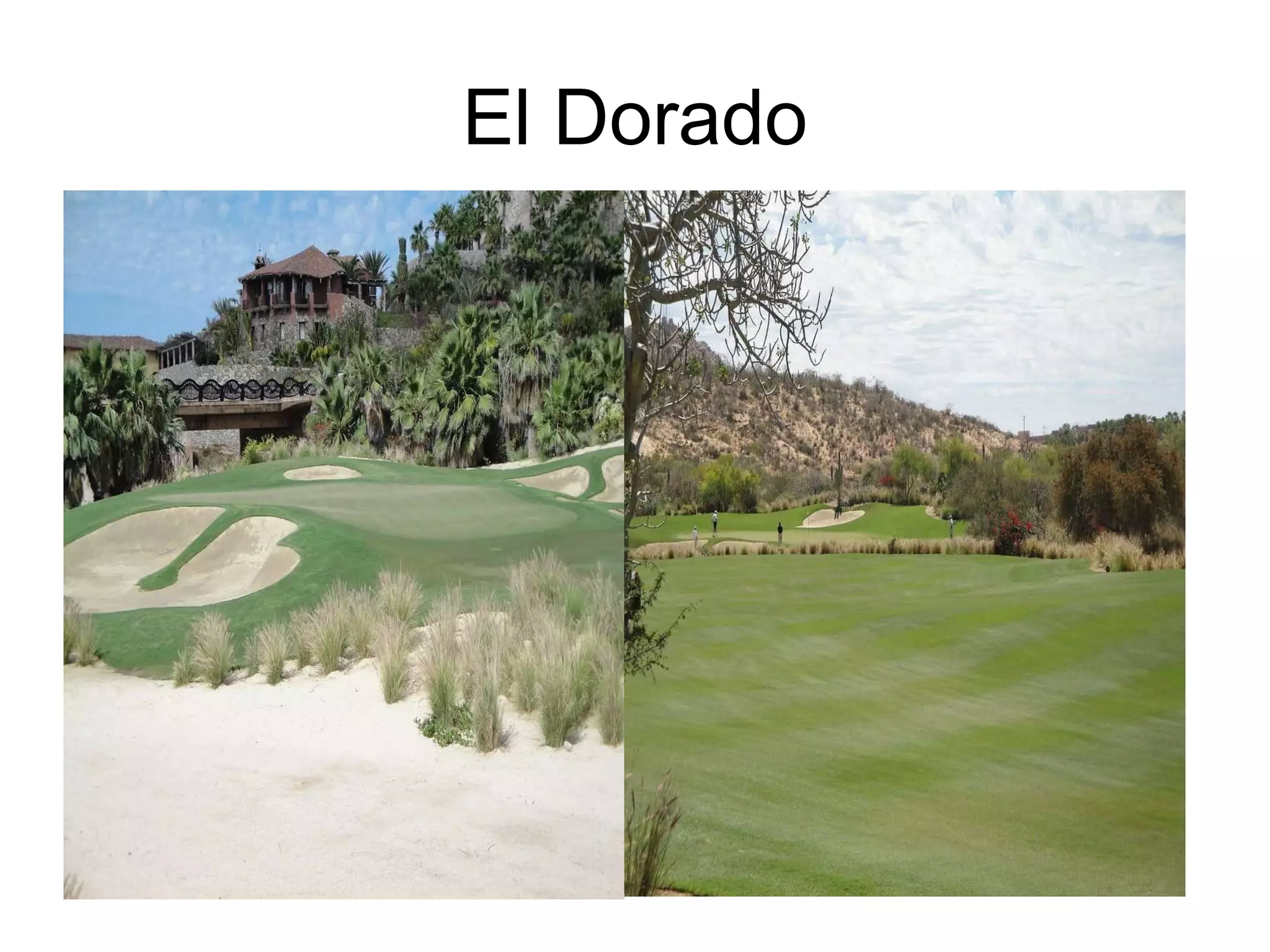 Greenway Turf Program Before/After Slides 1 | PPT