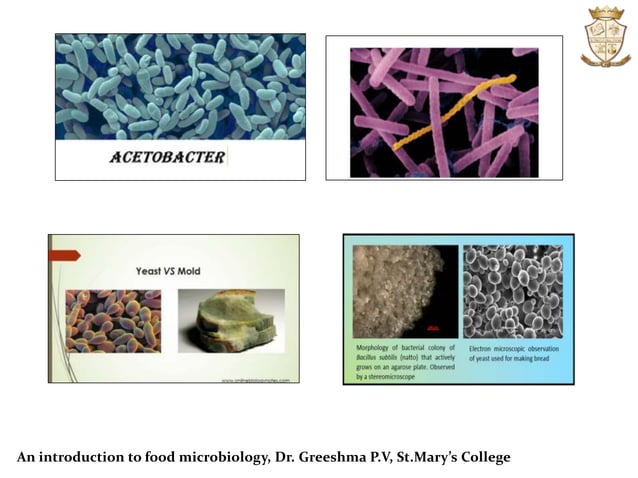 Microbiology:An Introduction To Food Microbiology | PPTX | Chemistry ...