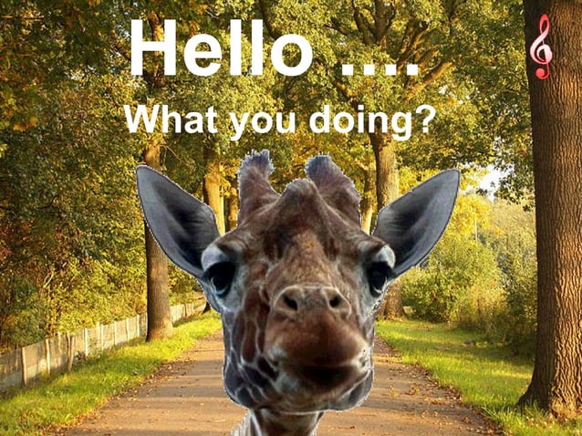 Greetings --- just checking in -- | PPS