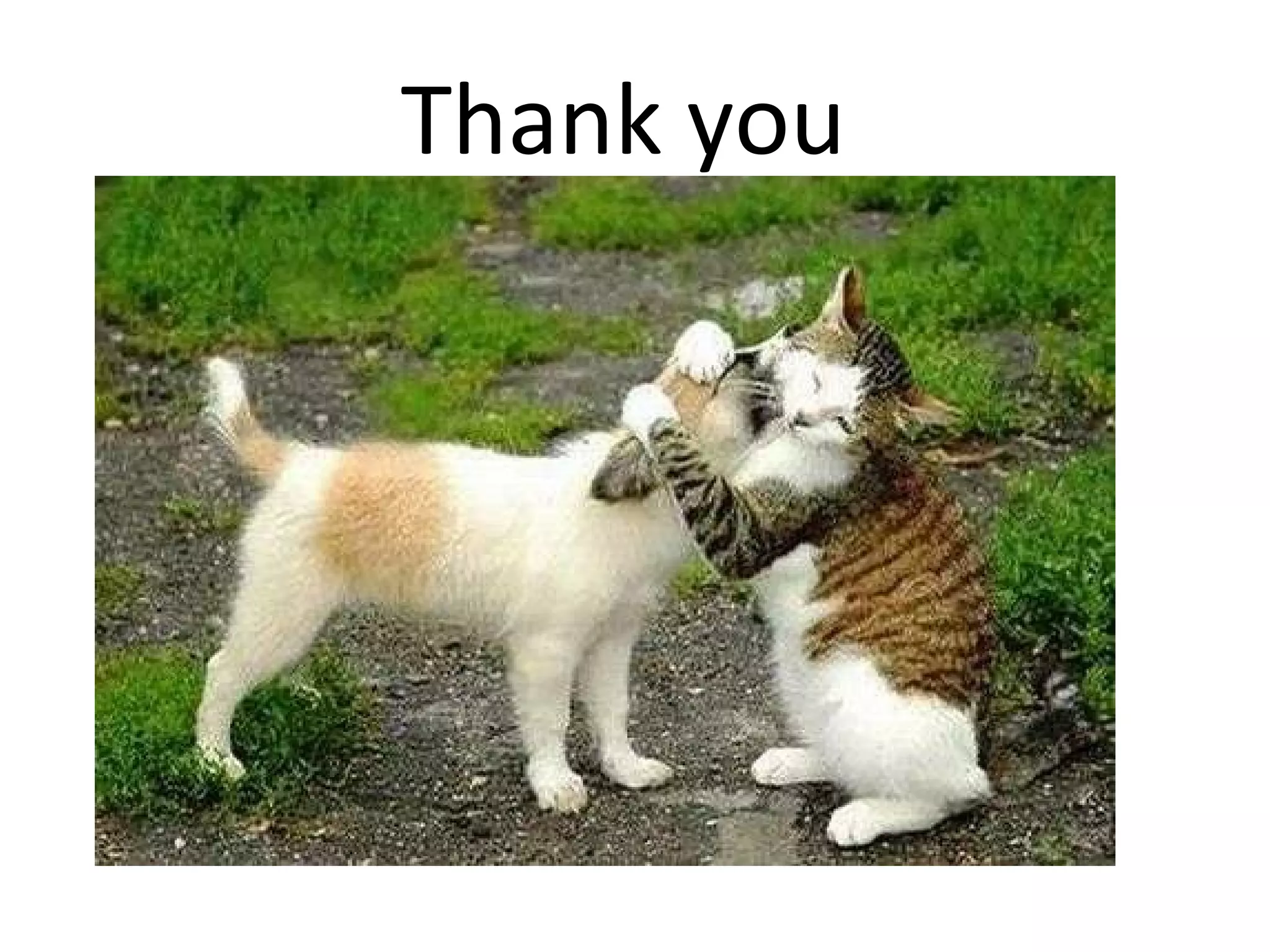 Greetings around the world | PPT