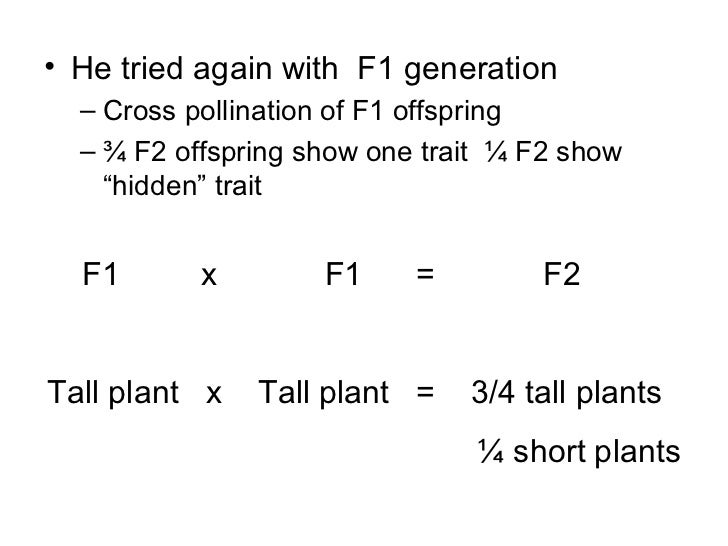 Gregor Mendel & Punnett Squares