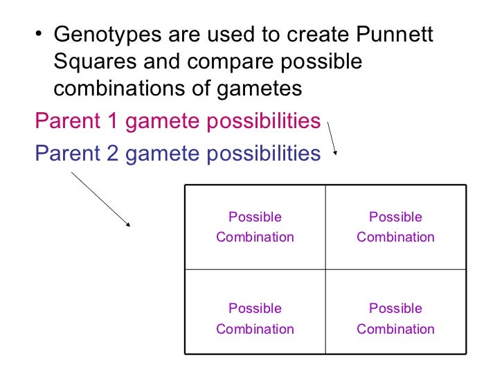 Gregor Mendel & Punnett Squares