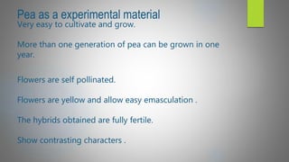 Gregor john mendel (1822 1884) | PPT