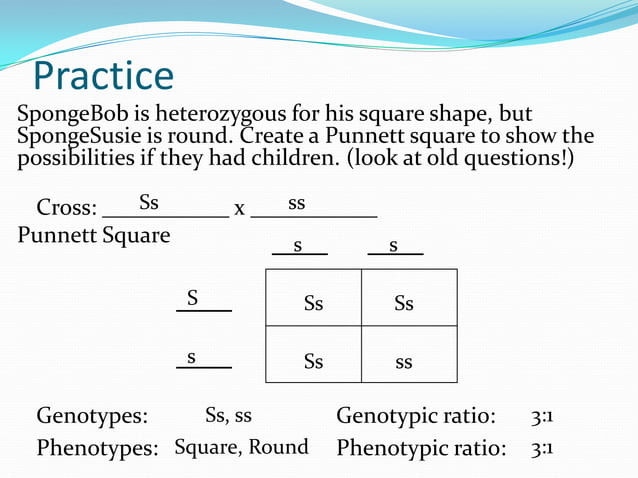 Gregor Mendel Genetics | PPT
