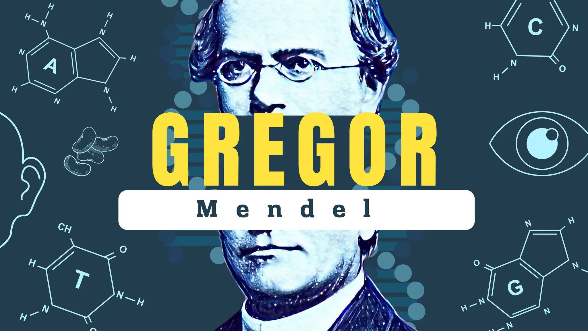 Gregor Mendel biografia y grandes aporte | PDF