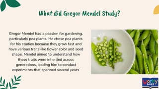 Gregor Mendel Discovery of Traits.pdf | Workybooks | PDF