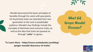 Gregor Mendel Discovery of Traits.pdf | Workybooks | PDF