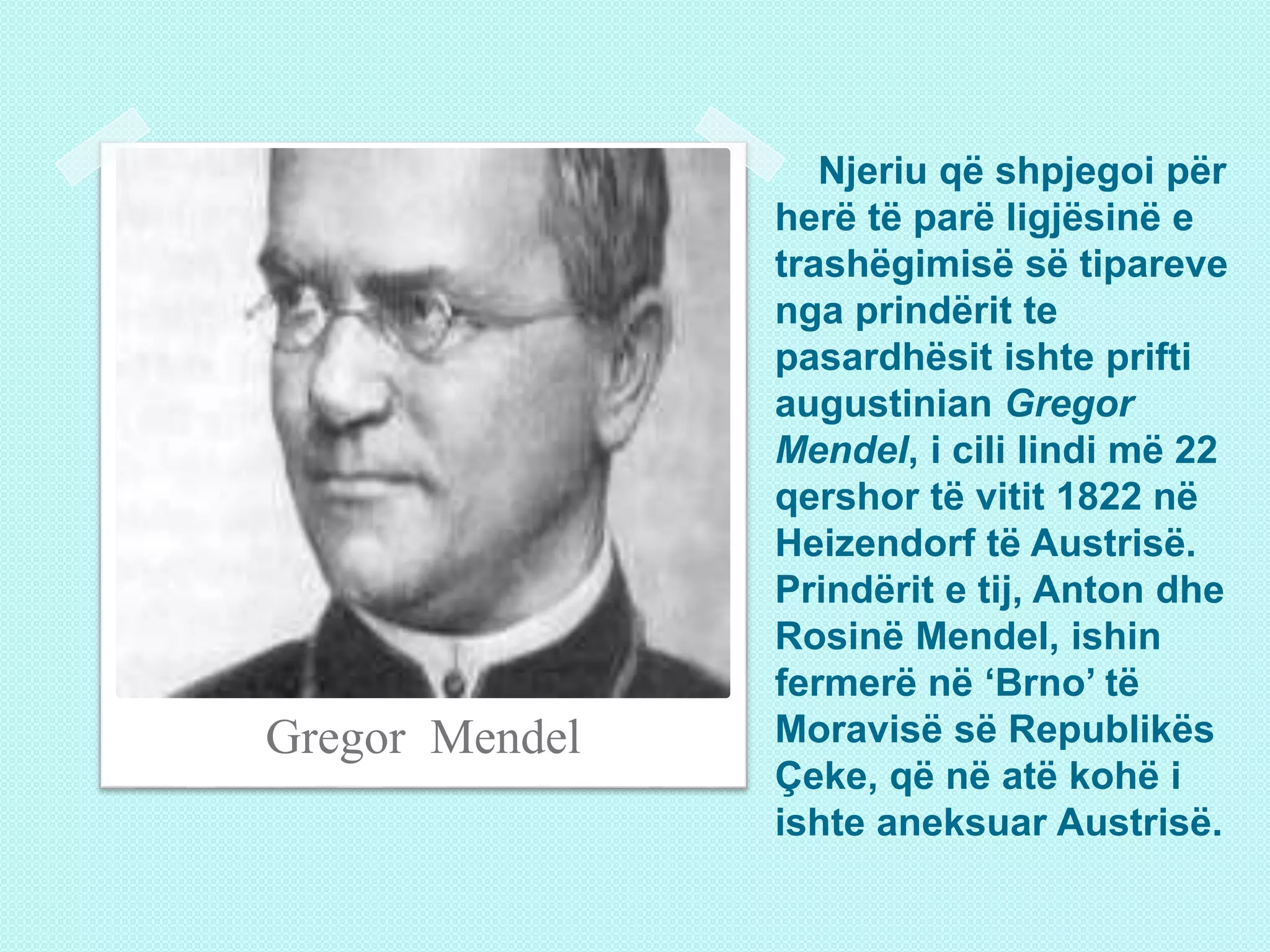 Gregor Mendeli-Andi Metaliaj | PPSX