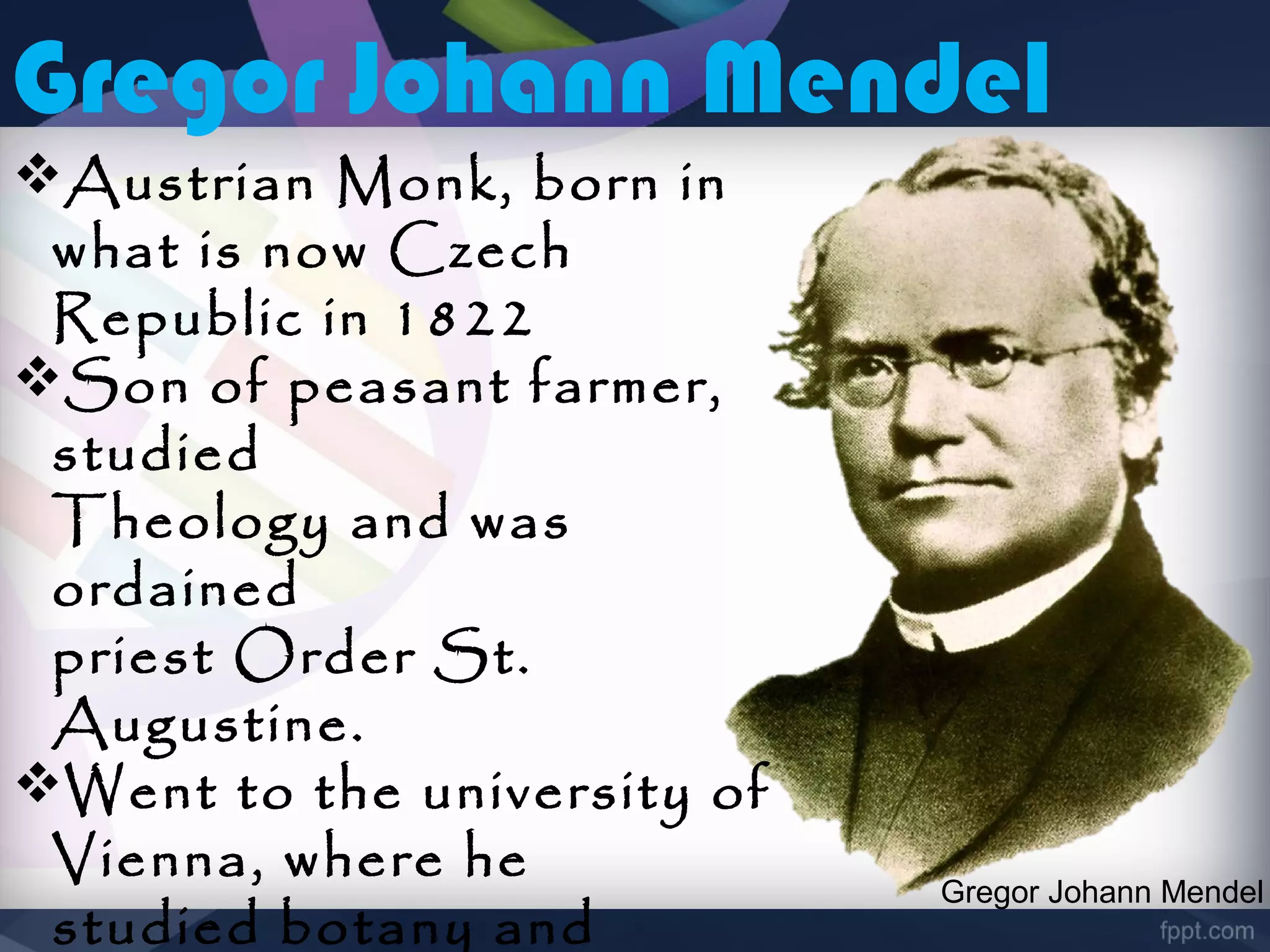 Gregor Mendel's Experiment and Monohybrid Cross | PPT